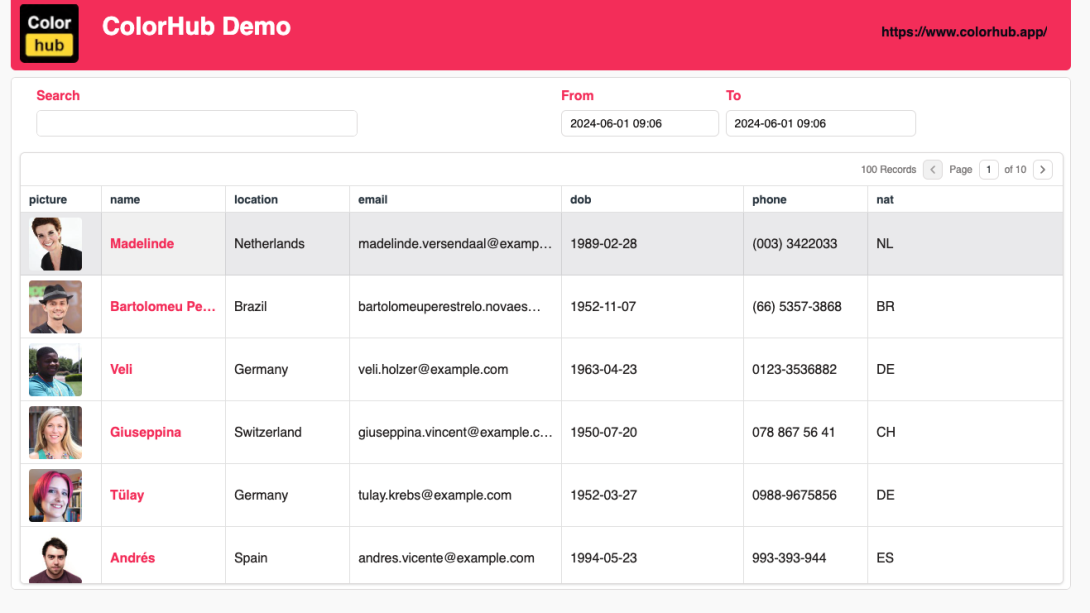 Custom Themes Using Colorhub.app | Appsmith Community Portal